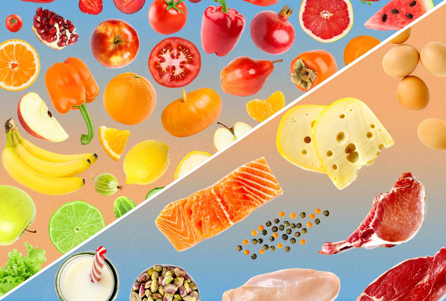 Fiber vs. Protein: Which Should You Prioritize? | Auto Robot